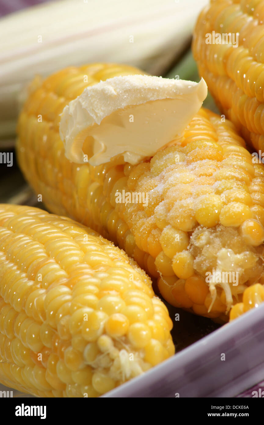 boiled corn on the cob with butter and salt Stock Photo - Alamy