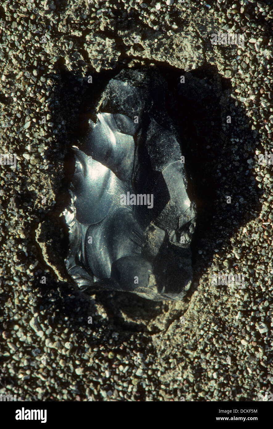 Native american arrowhead hi-res stock photography and images - Alamy