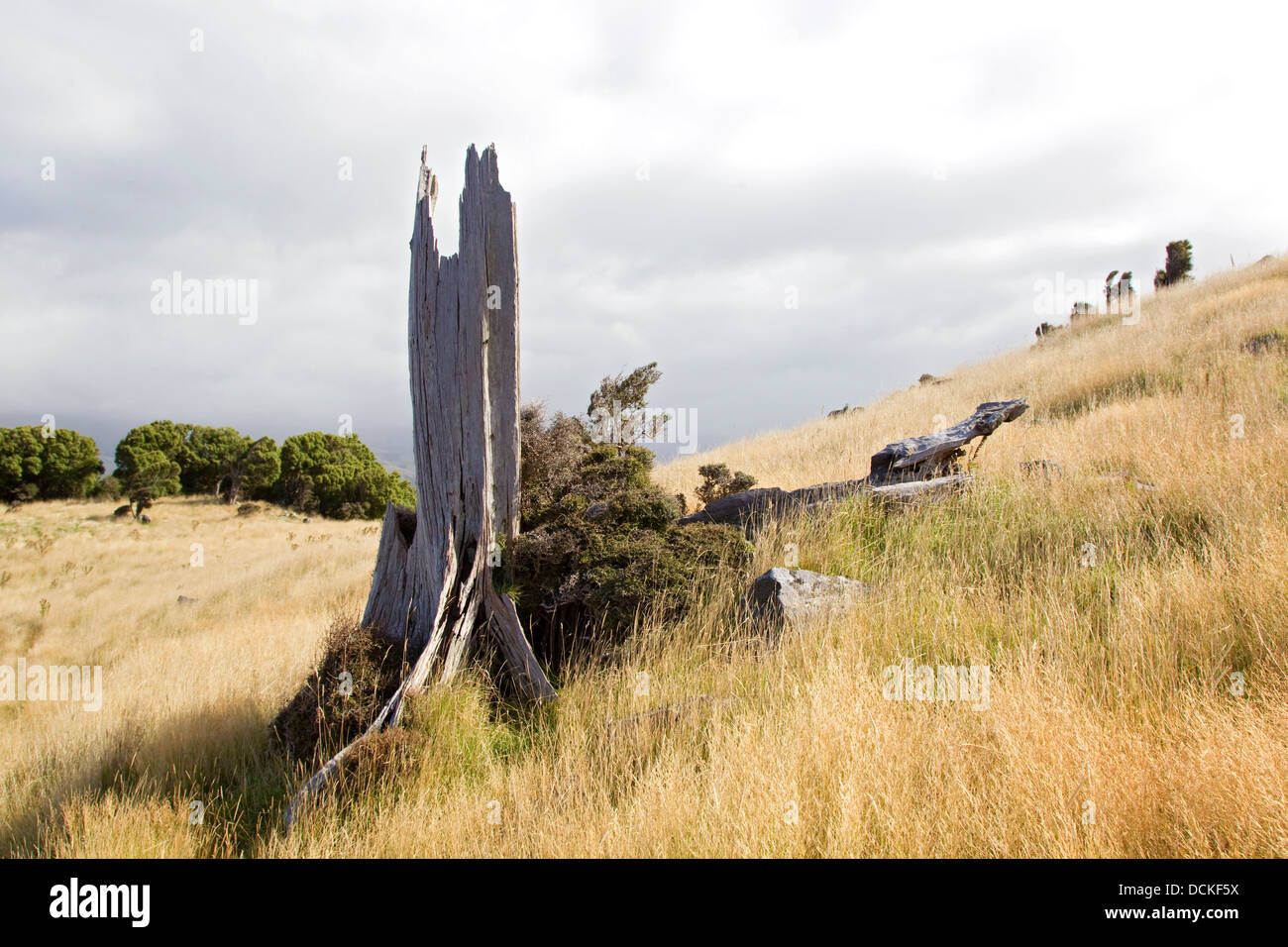 Landscapescenery hi-res stock photography and images - Alamy