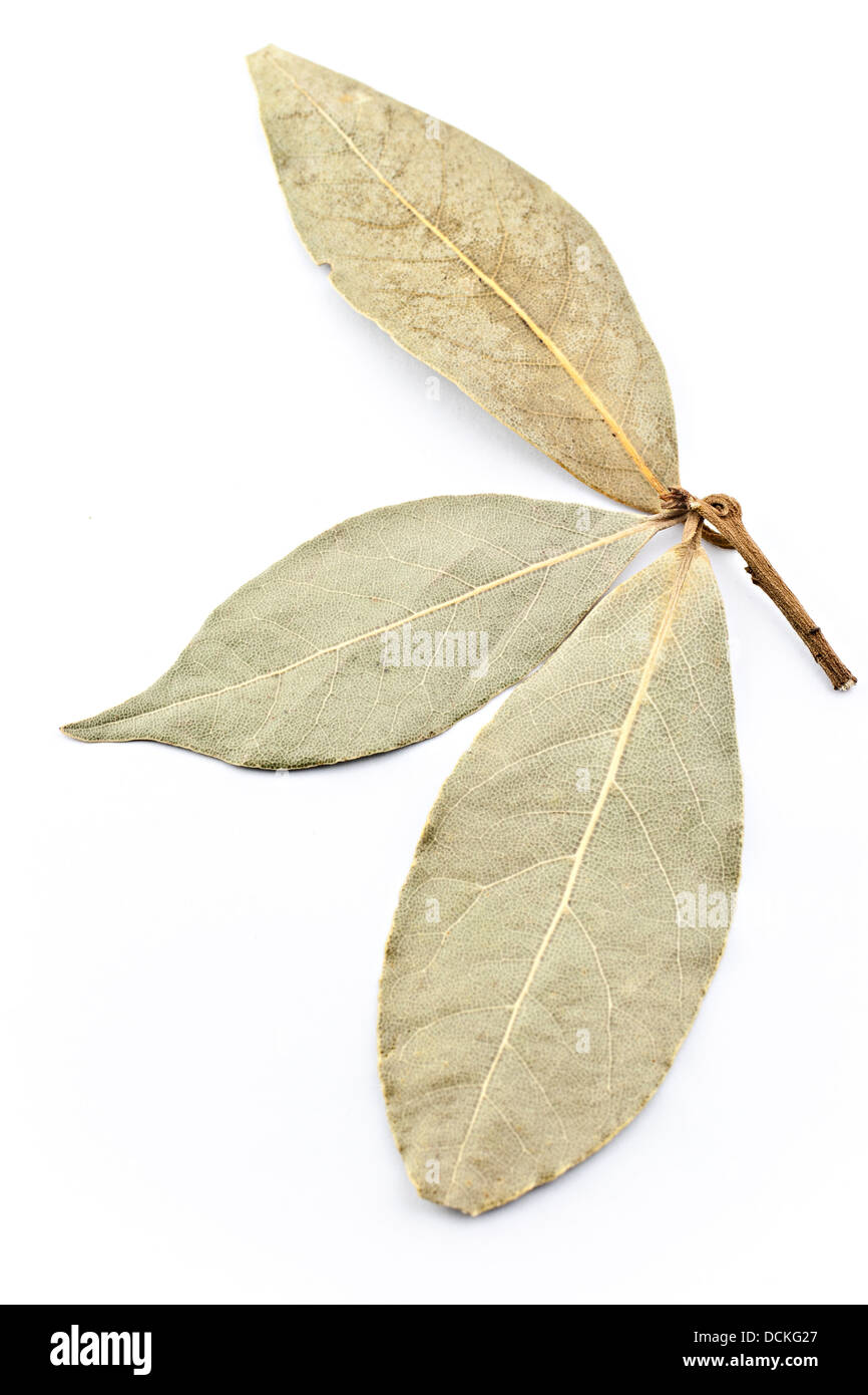 Three bay leaves Stock Photo - Alamy