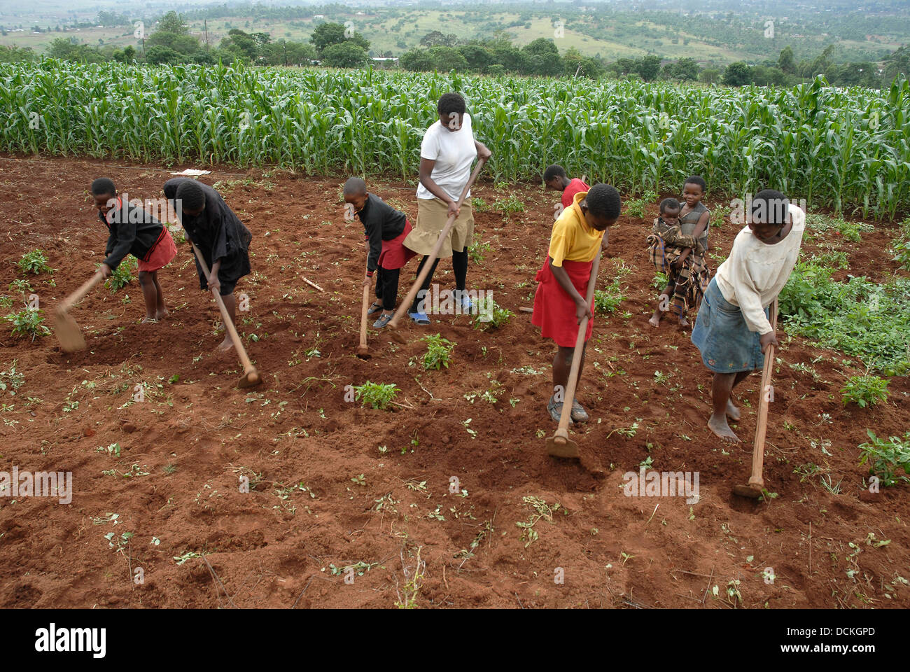 Swaziland 2006 Rural farming practices and problems faced by ...