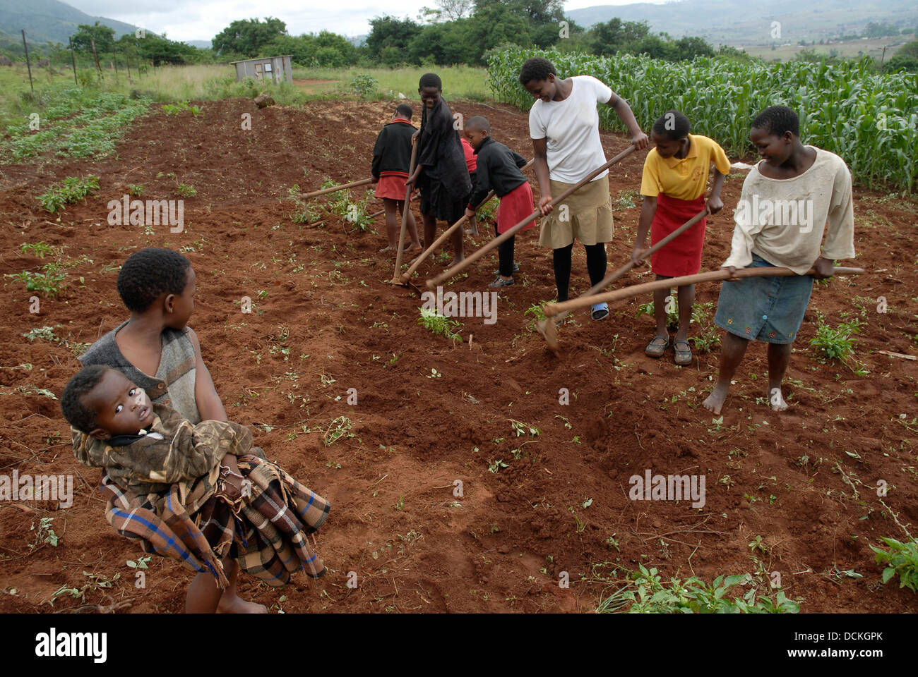 Swaziland 2006 Rural farming practices and problems faced by ...