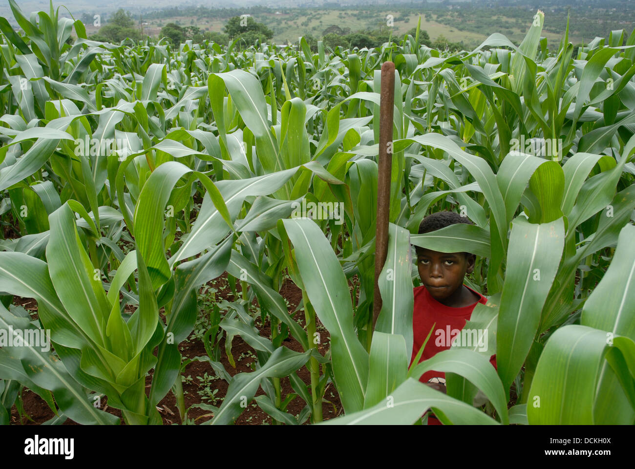 Swaziland 2006 Rural farming practices and problems faced by ...