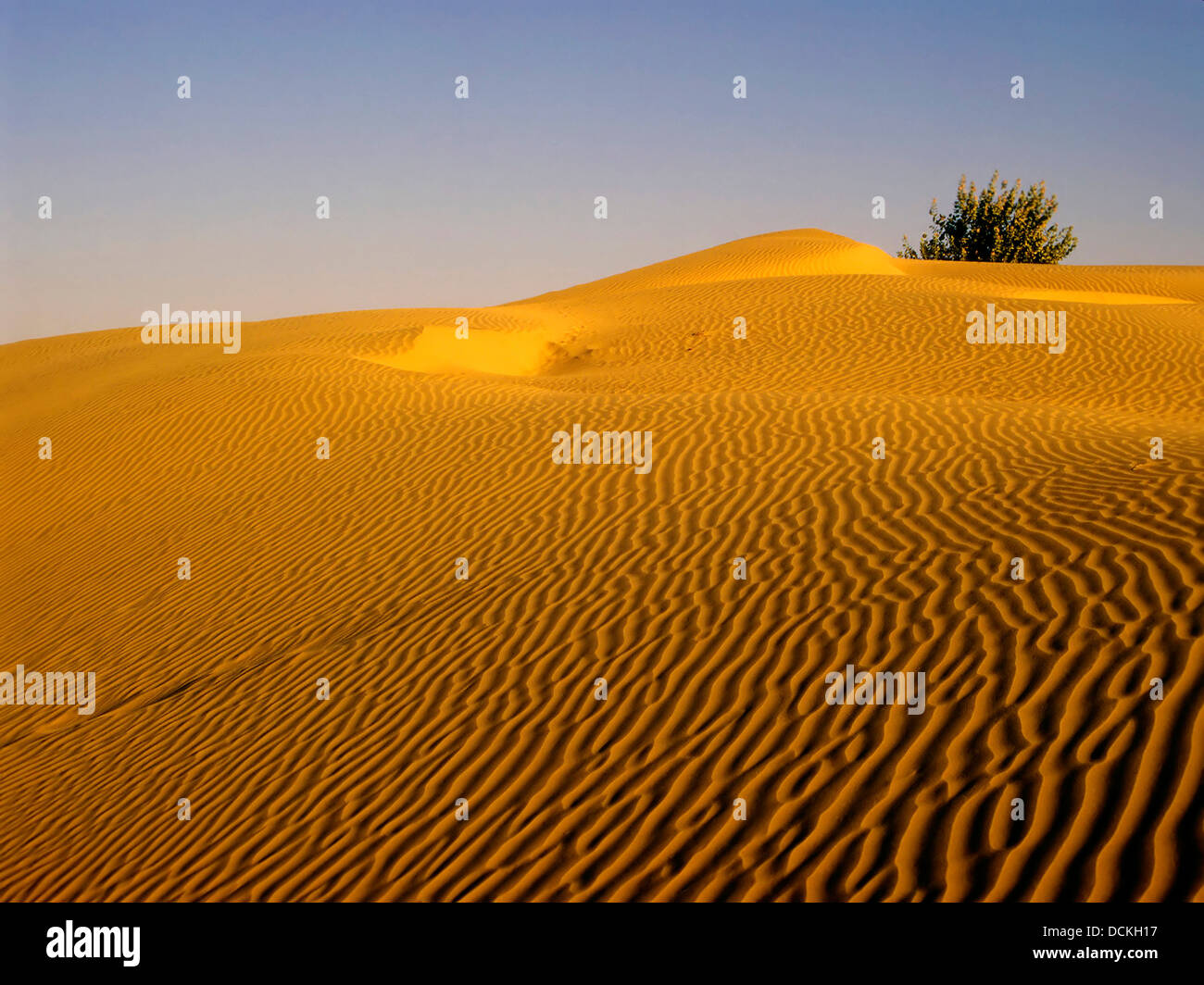 Scrub land hi-res stock photography and images - Alamy