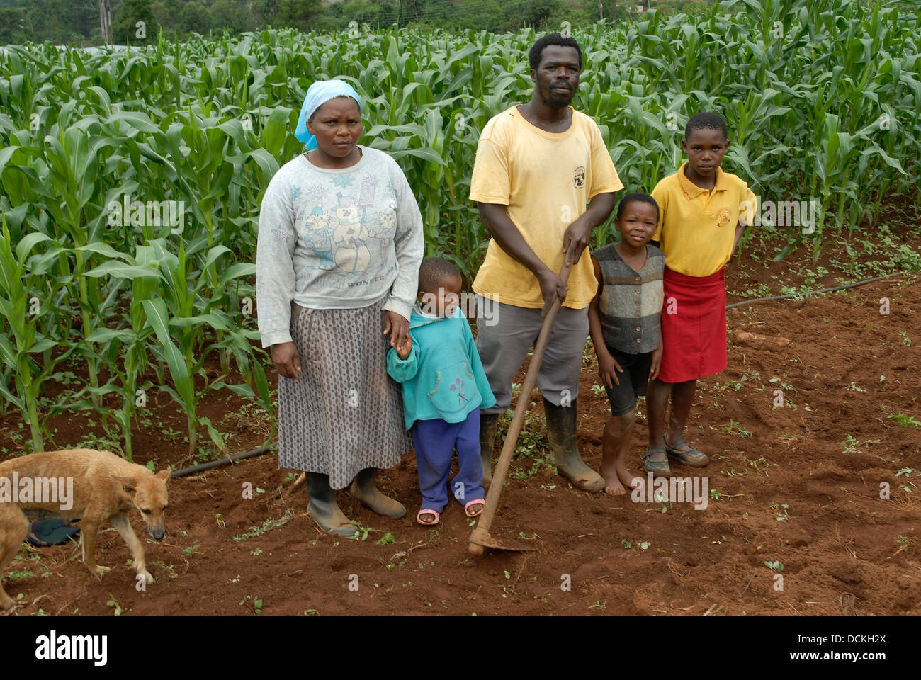 Swaziland 2006 Rural farming practices and problems faced by ...