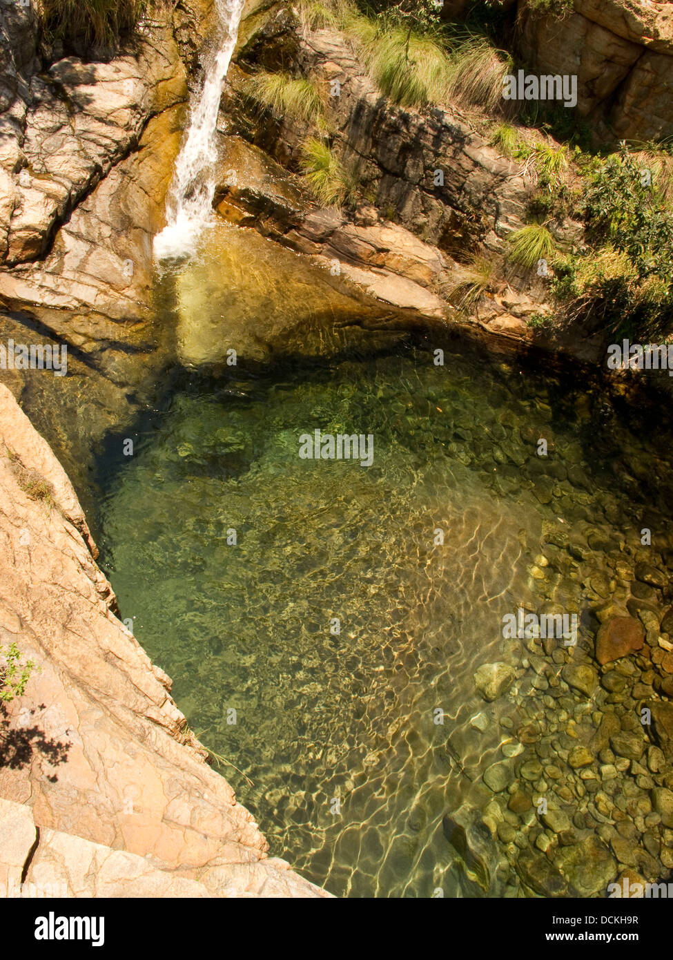 River swim johannesburg hi-res stock photography and images - Alamy