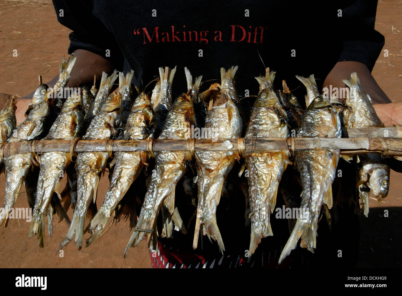 Malawi, Near Salima, 11 August 2009: Kum'gozi Village. A local smoked ...