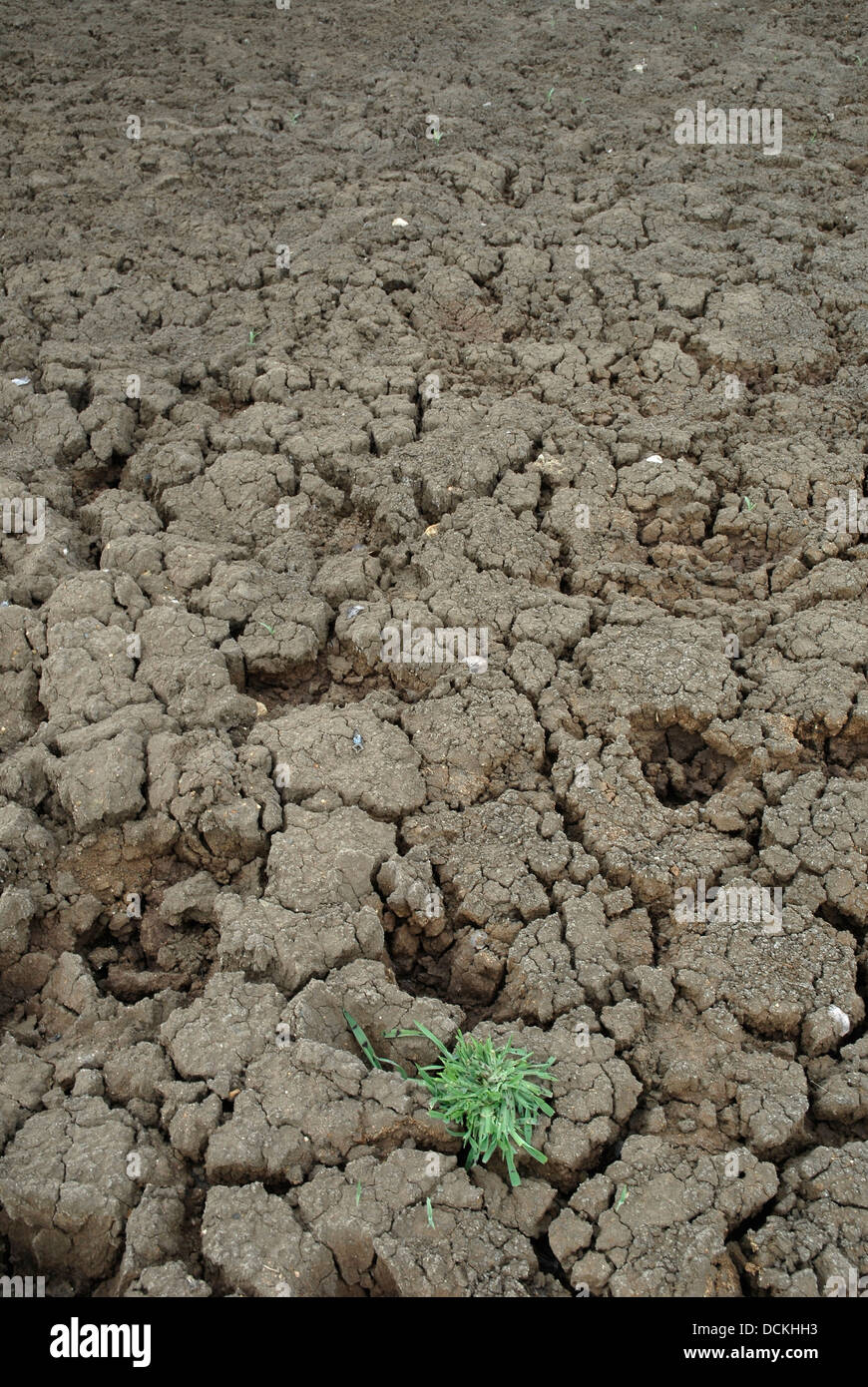 Dried up dam hi-res stock photography and images - Alamy