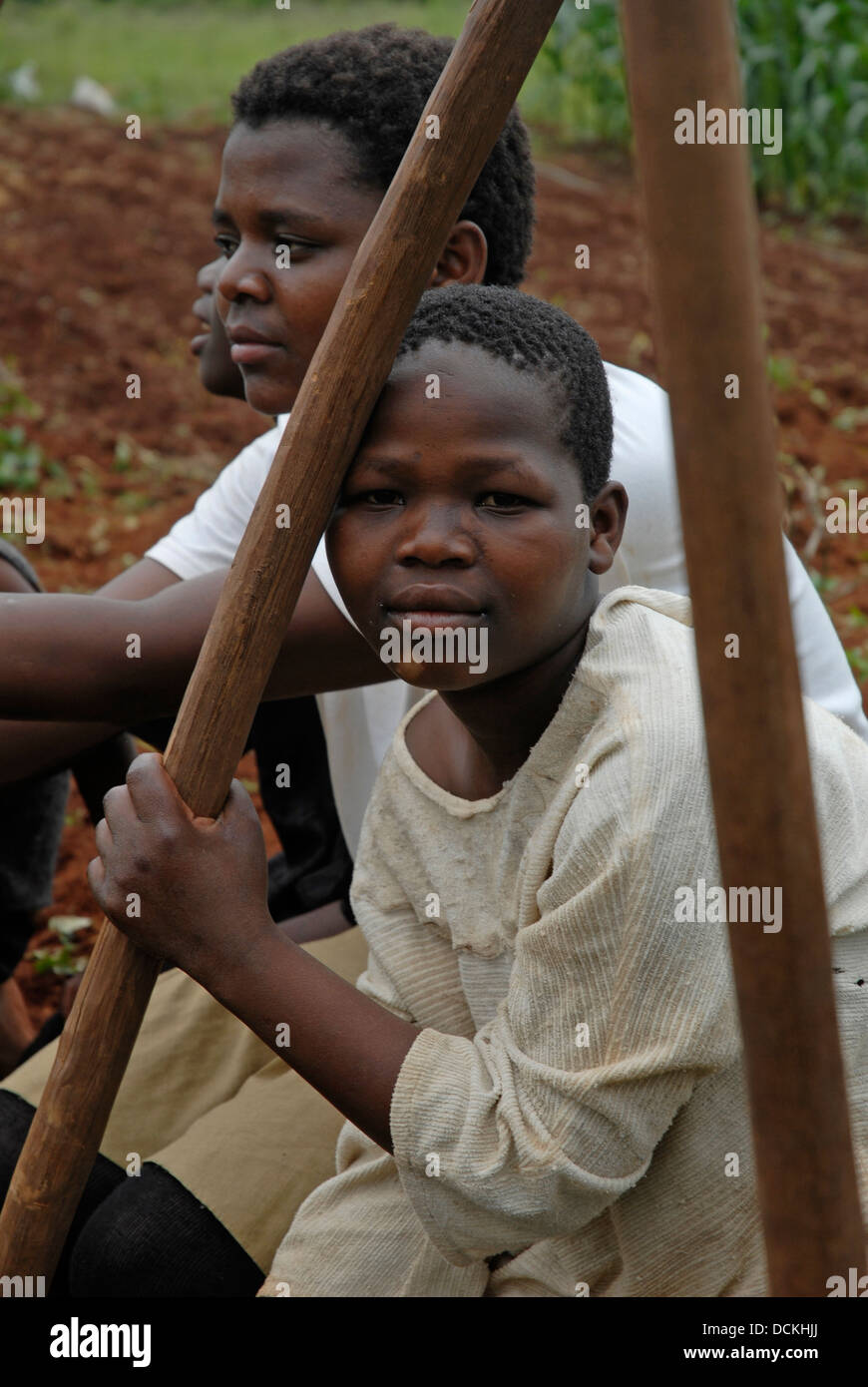 Poor farming practices hi-res stock photography and images - Alamy