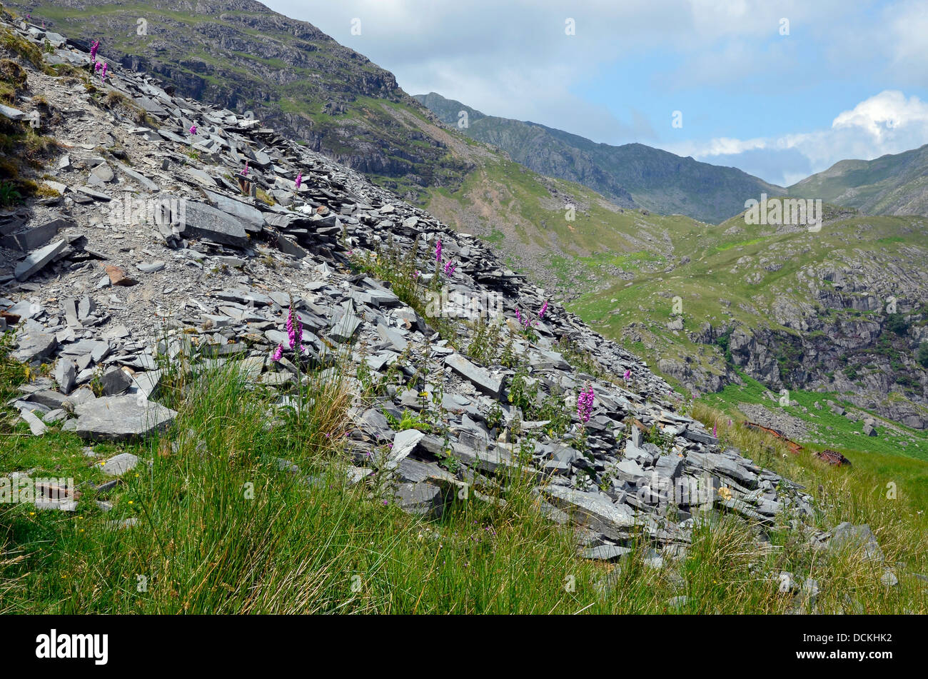 Old mine waste tips or spoil heaps on the flanks of Coniston Old man in ...