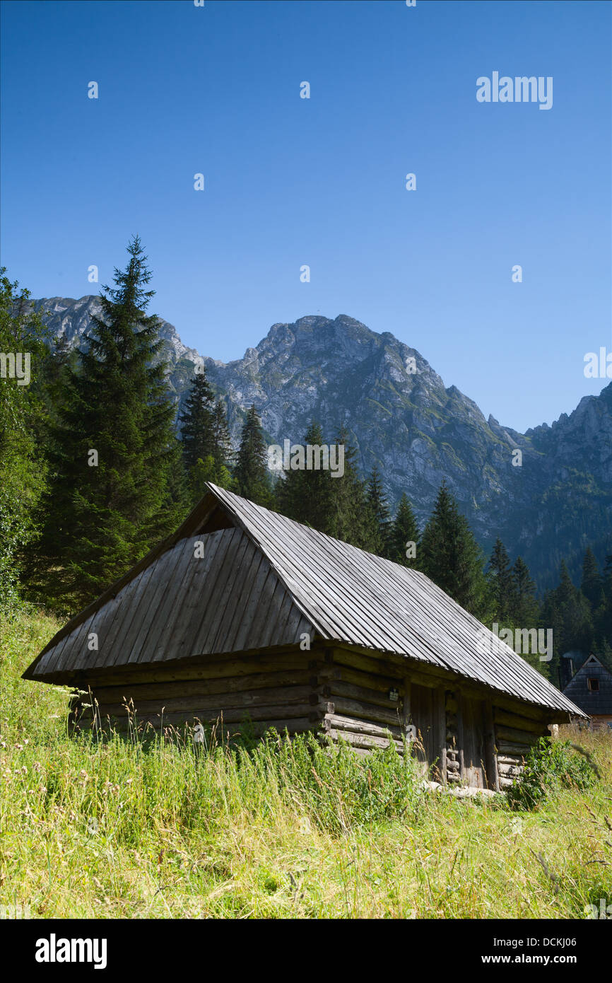 mountain hut in Tatras, Poland or beautiful summer landscape Stock ...