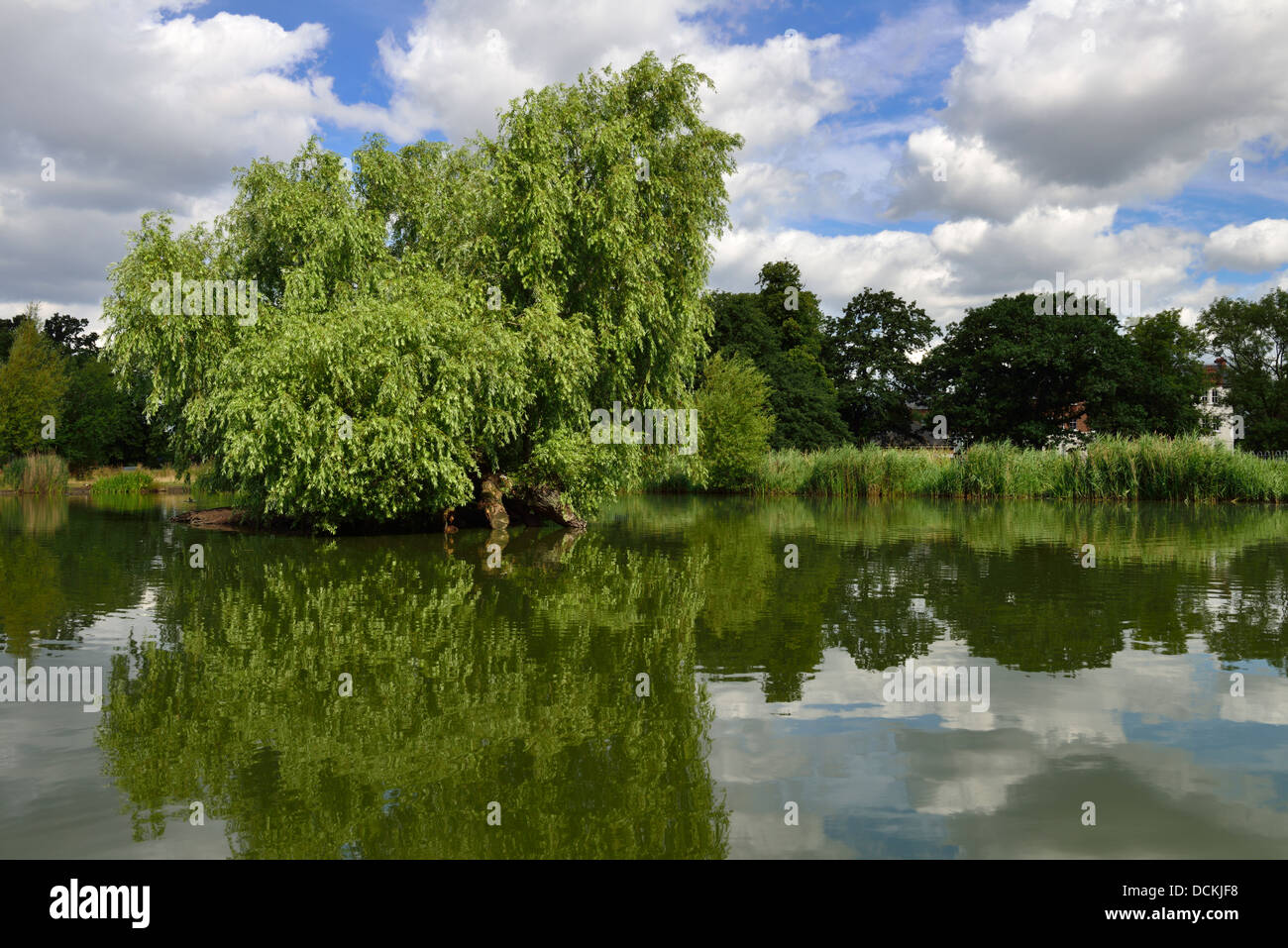 Clapham Common, London SW4, United Kingdom Stock Photo - Alamy