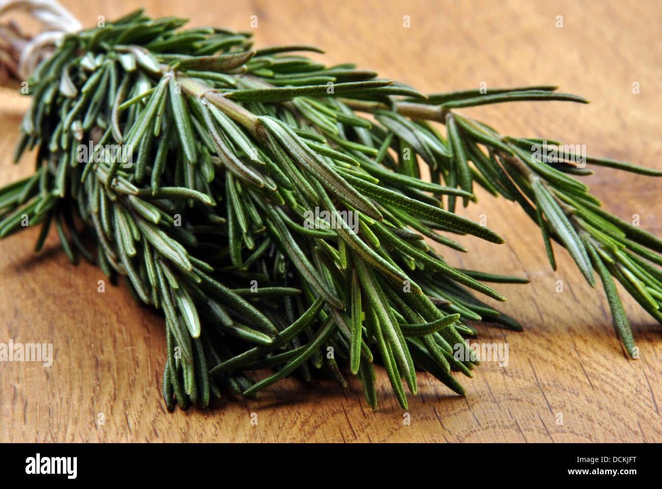 some fresh organic rosemary from the garden Stock Photo - Alamy