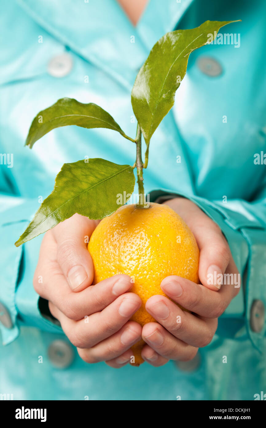 Hands lemon fresh Stock Photo - Alamy