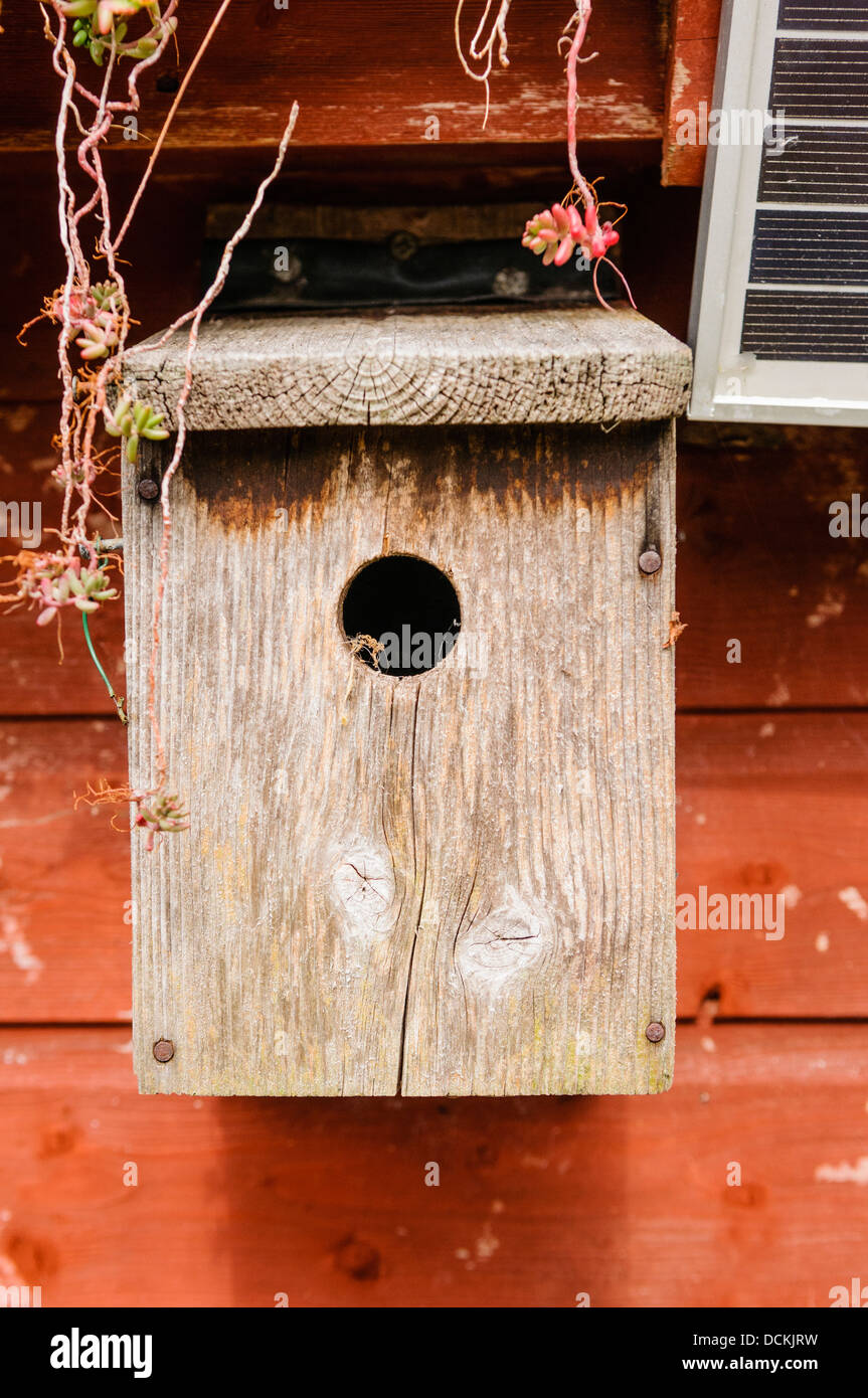 Small hole wooden bird nesting box suitable for Blue Tit, Great Tit ...