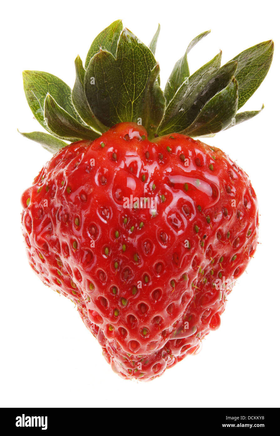 Fresh Isolated strawberry Stock Photo - Alamy