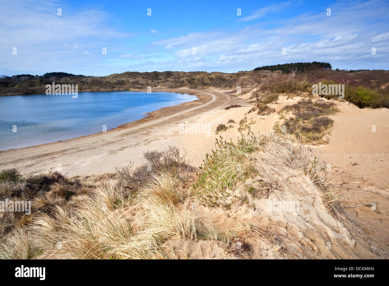 sandy dunes and lake in Haarlem Stock Photo - Alamy