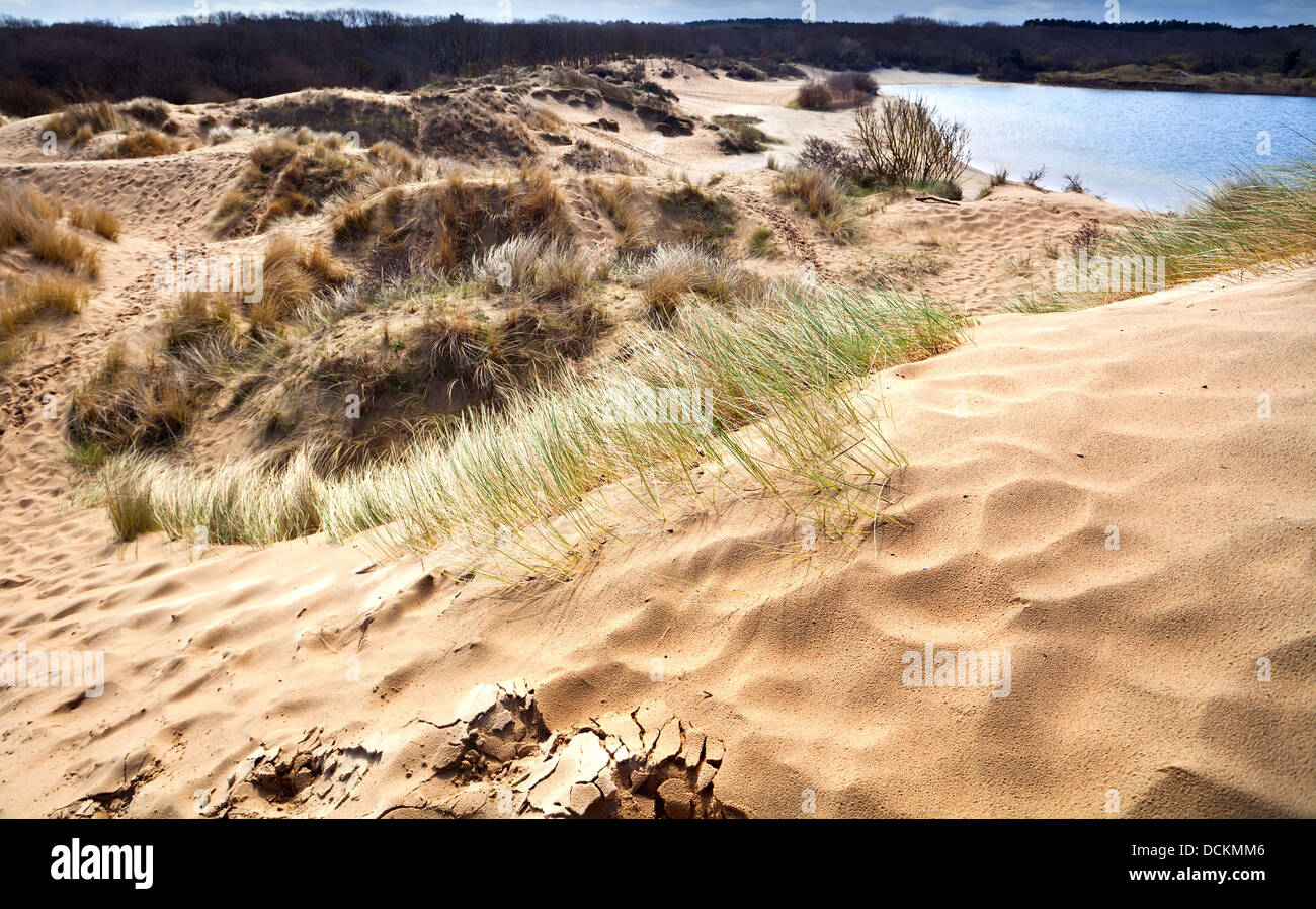 Haarlem lake hi-res stock photography and images - Alamy
