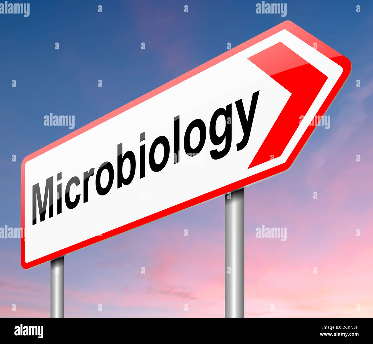 Study of micro organisms hi-res stock photography and images - Alamy