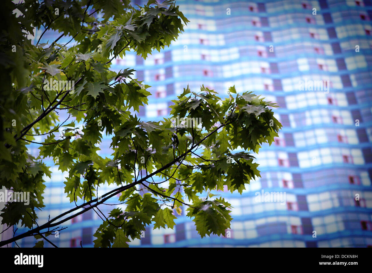 Building with Tree Stock Photo - Alamy