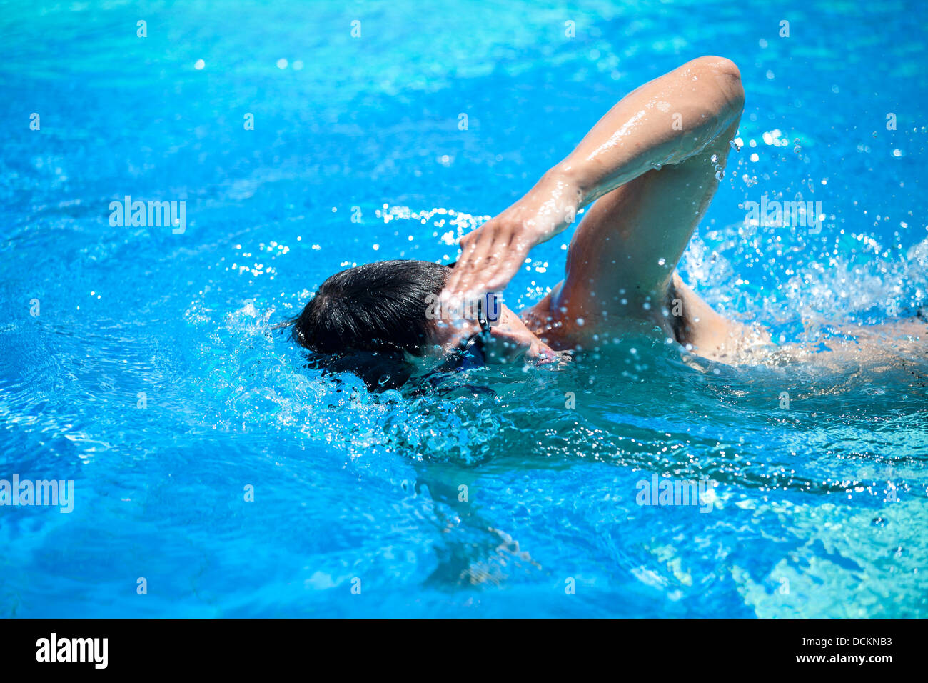 Young man swimming the front crawl/freestyle in a pool Stock Photo - Alamy