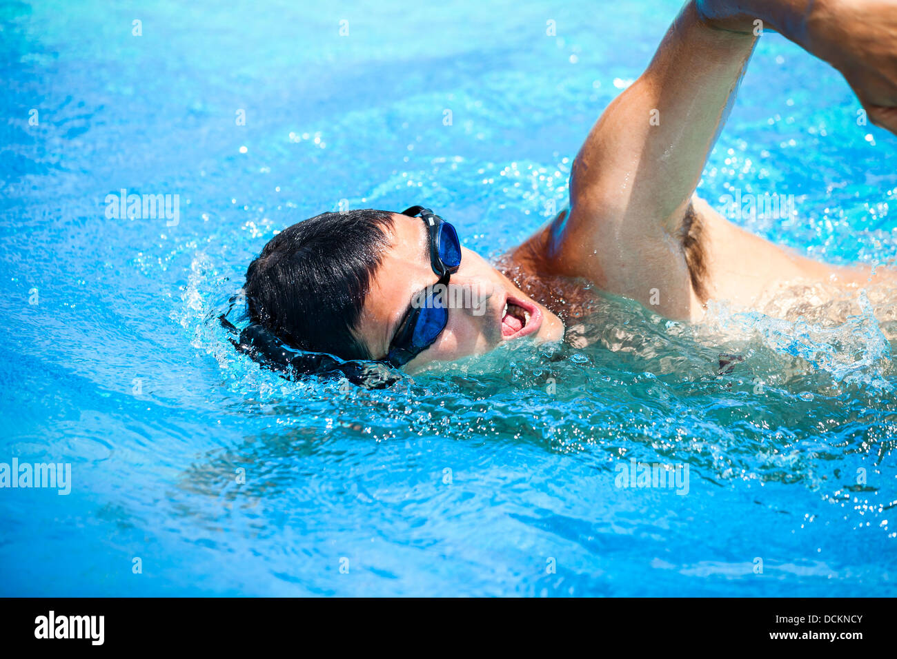 Young man swimming the front crawl in a pool Stock Photo - Alamy