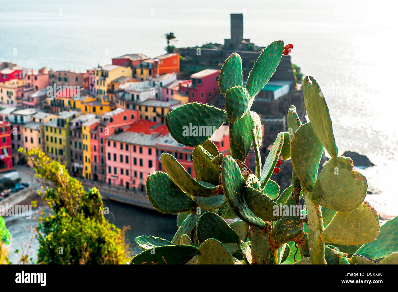 Aerial view of Vernazza Stock Photo - Alamy