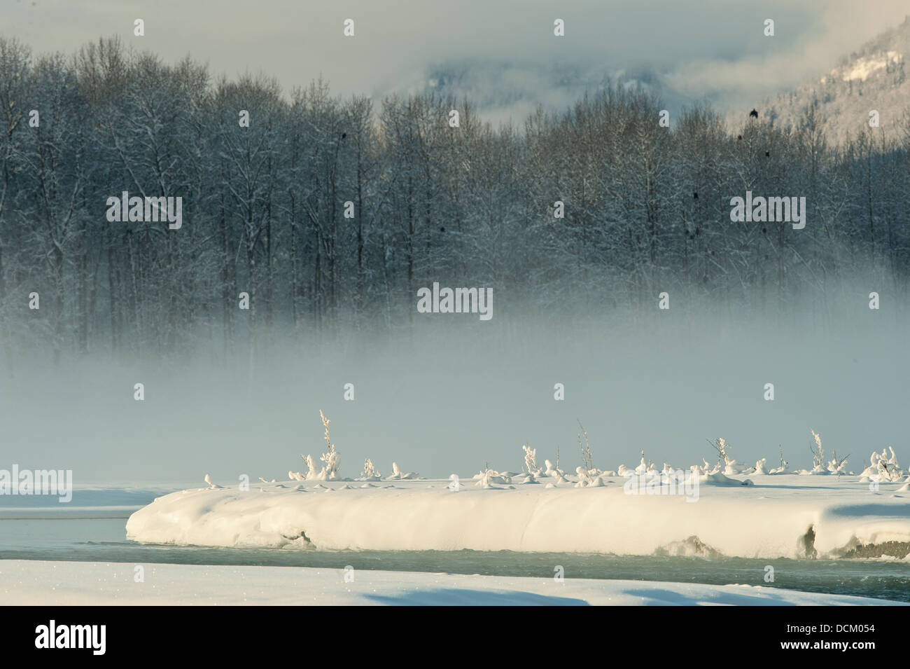 The Chilkat Valley under a covering of snow Stock Photo - Alamy