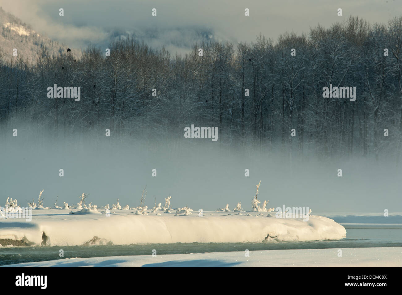 Chilkat river valley mountain hi-res stock photography and images - Alamy