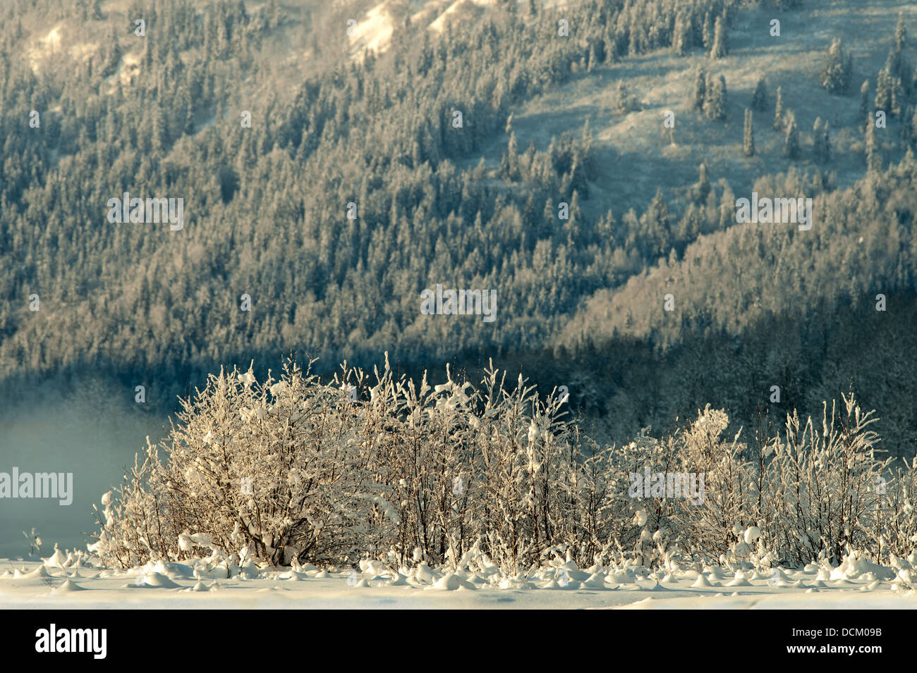 Chilkat river valley mountain hi-res stock photography and images - Alamy