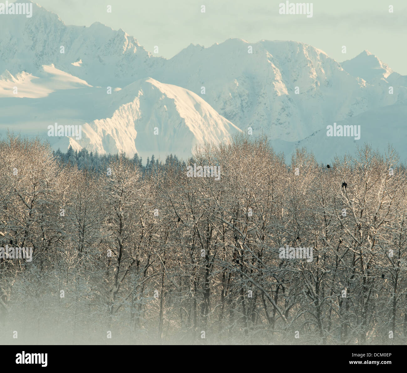 The Chilkat Valley under a covering of snow Stock Photo - Alamy