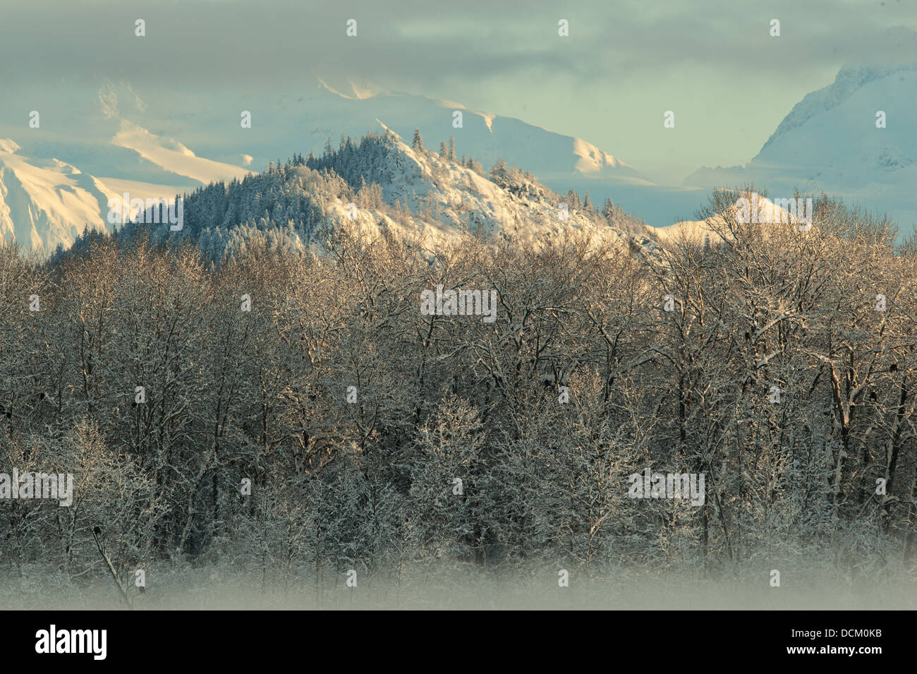 The Chilkat Valley under a covering of snow Stock Photo - Alamy