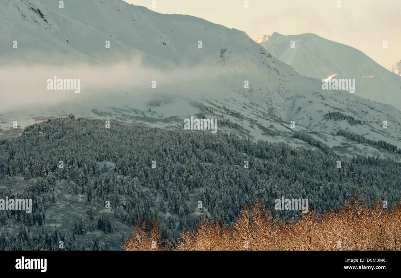 Chilkat river valley mountain hi-res stock photography and images - Alamy