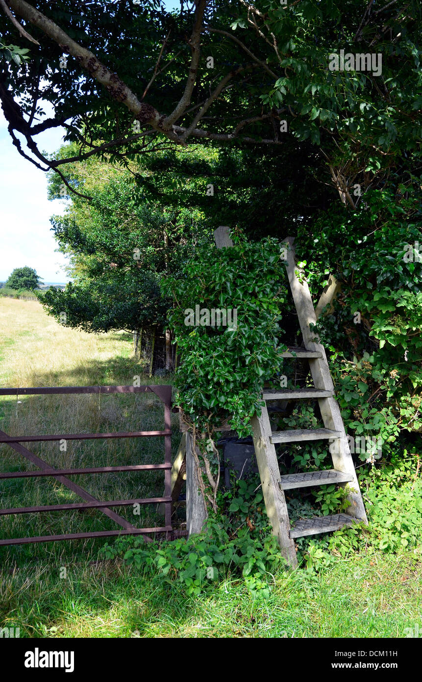 Ladder stile and steel 5-bar gate on a public footpath at Rhydyronen ...