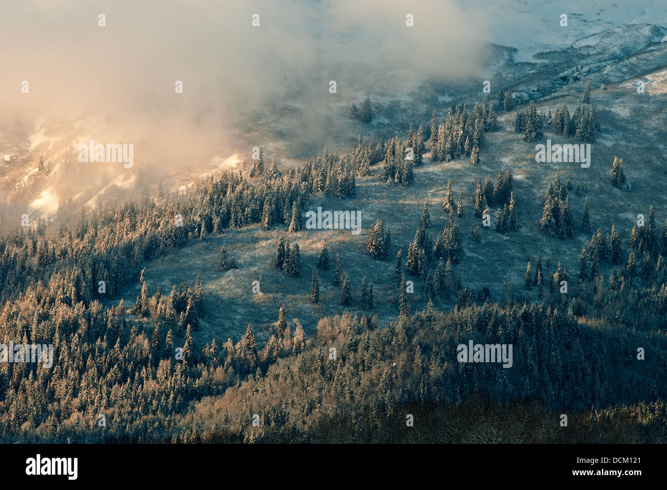 Chilkat river valley mountain hi-res stock photography and images - Alamy