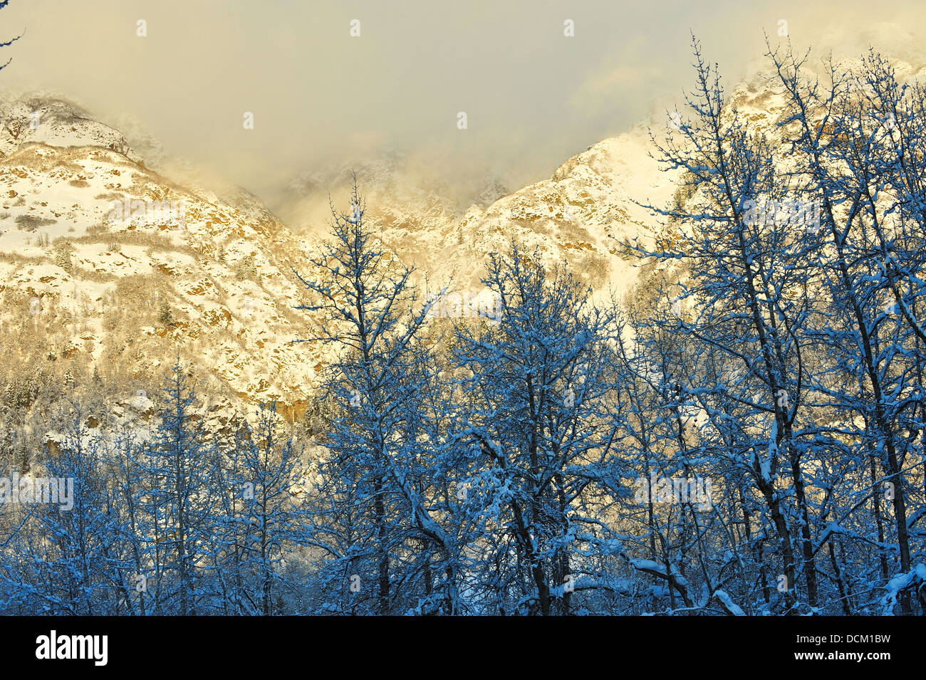 The Chilkat Valley under a covering of snow Stock Photo - Alamy