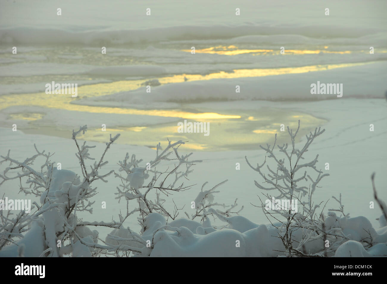 Chilkat river valley mountain hi-res stock photography and images - Alamy