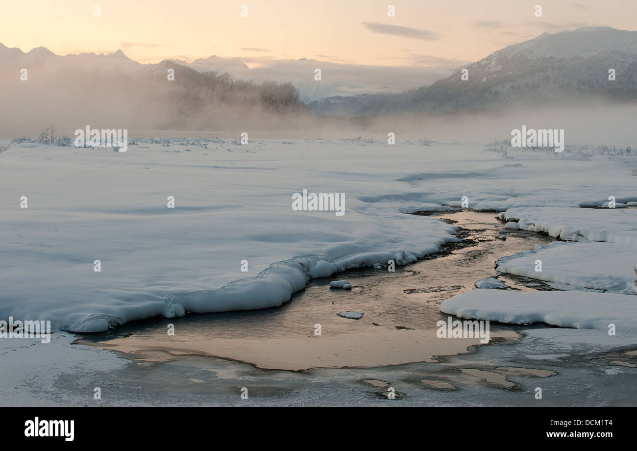 Chilkat valley and bald eagle hi-res stock photography and images - Alamy