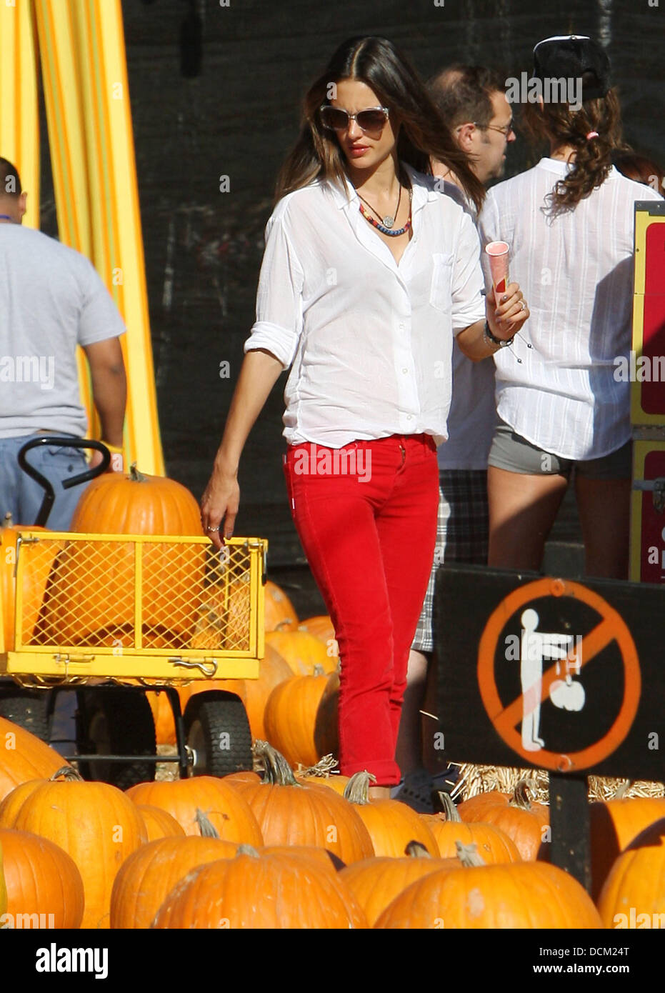 Alessandra Ambrosio at Mr Bones Pumpkin Patch in West Hollywood. Los ...