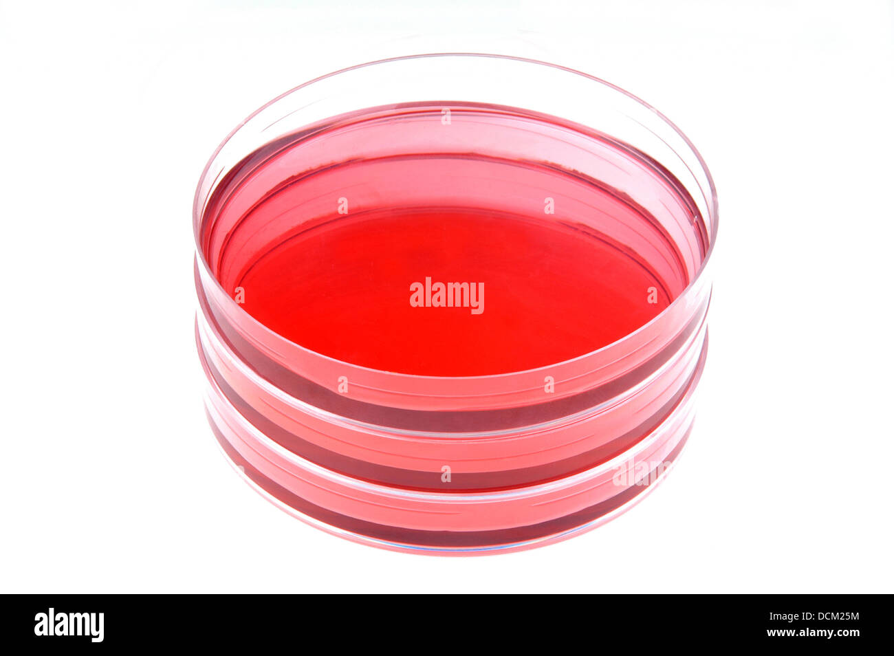 Hand scientific laboratory test Cut Out Stock Images & Pictures - Alamy