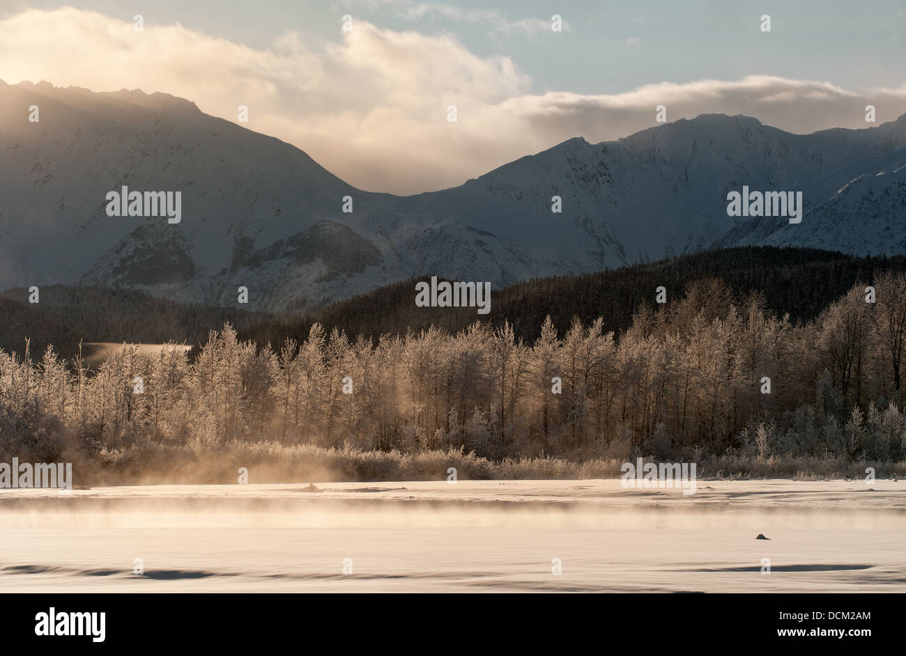 The Chilkat Valley under a covering of snow Stock Photo - Alamy