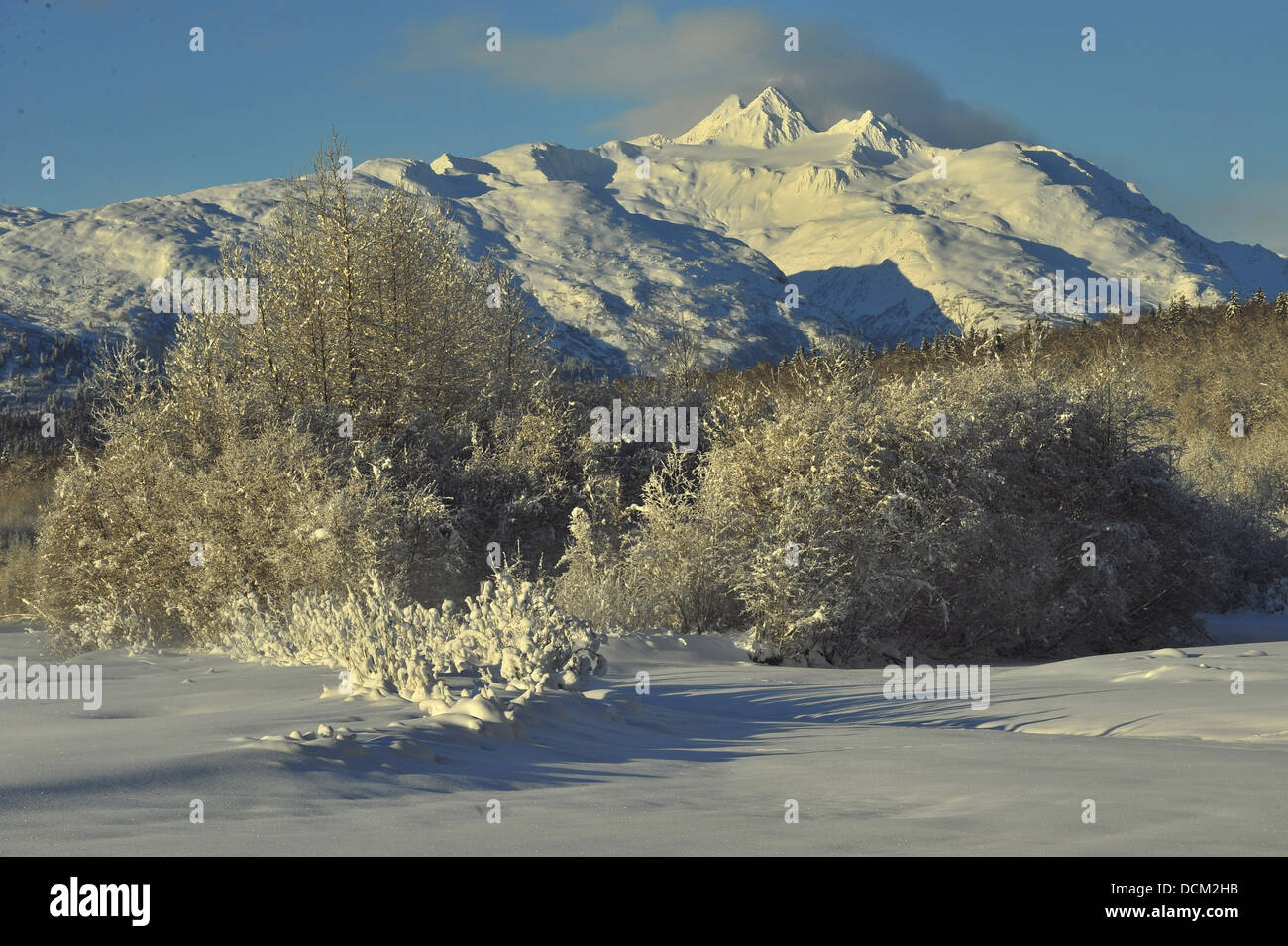 Chilkat river valley mountain hi-res stock photography and images - Alamy