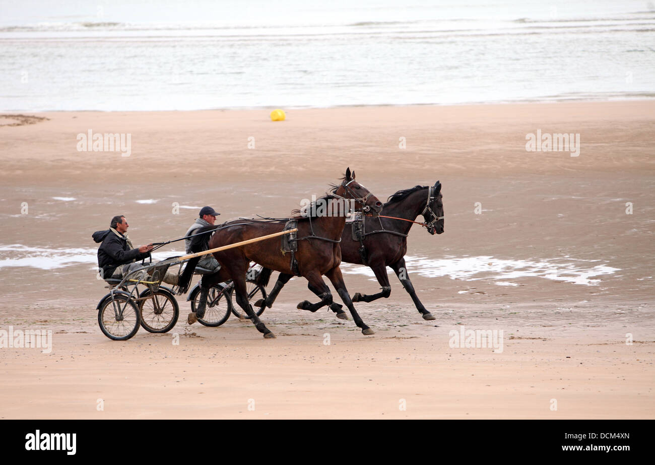 Be sulky hi-res stock photography and images - Alamy