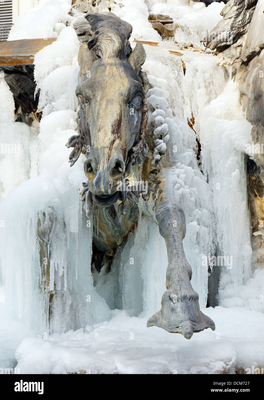 Horse coming out of ice Stock Photo - Alamy