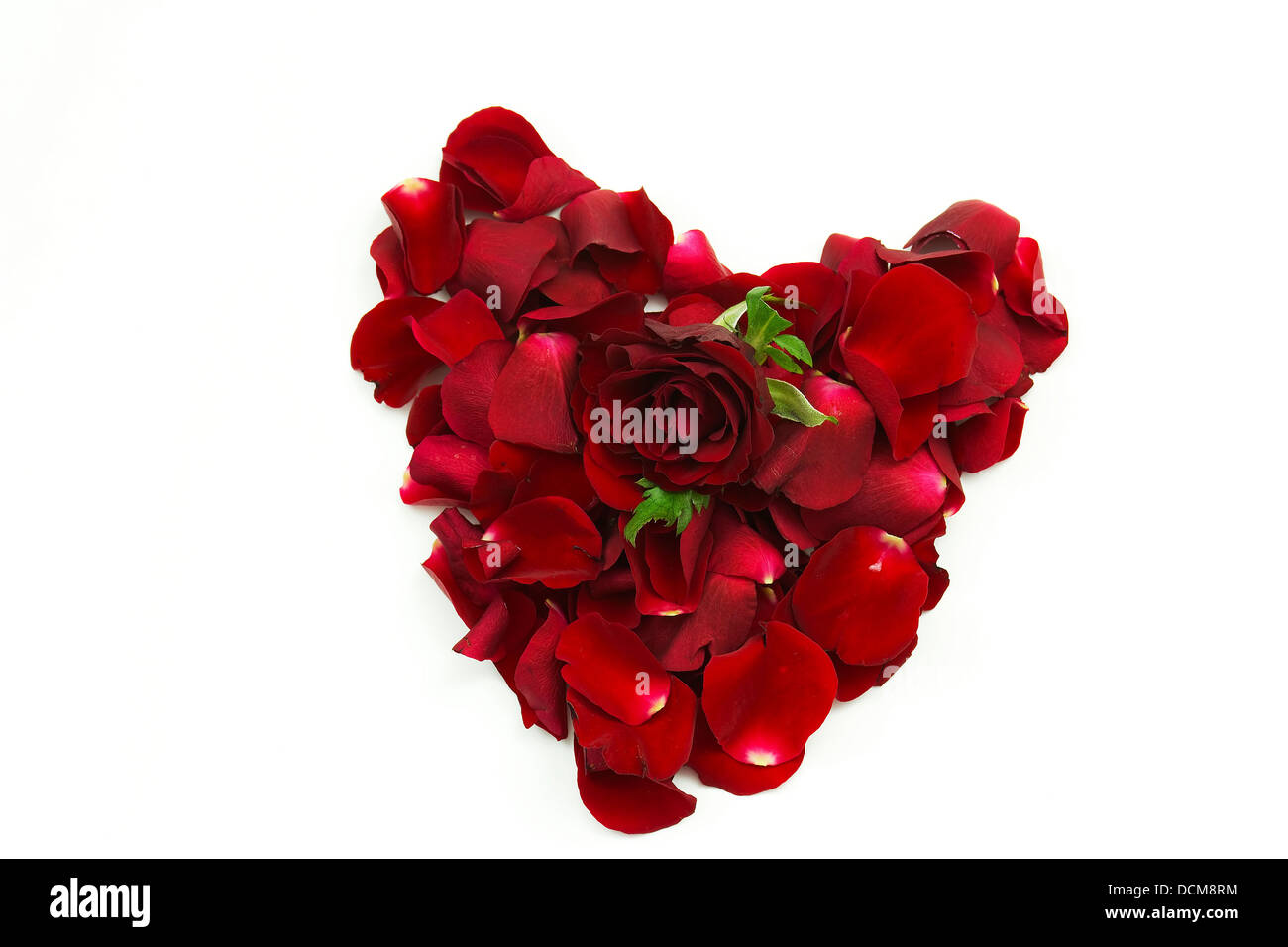 rose petal red heart and red rose Stock Photo - Alamy