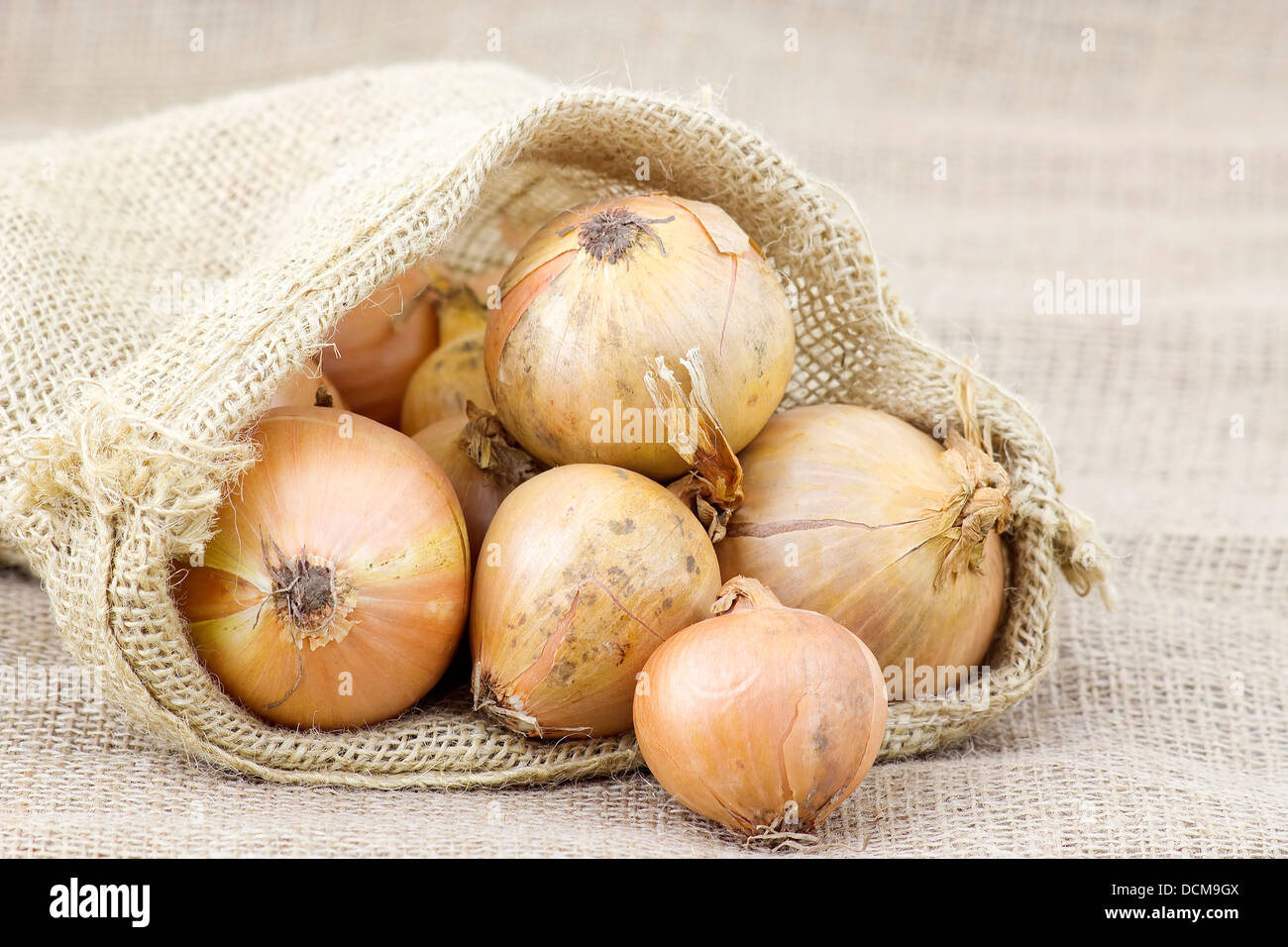 Fresh onions in package Stock Photo - Alamy