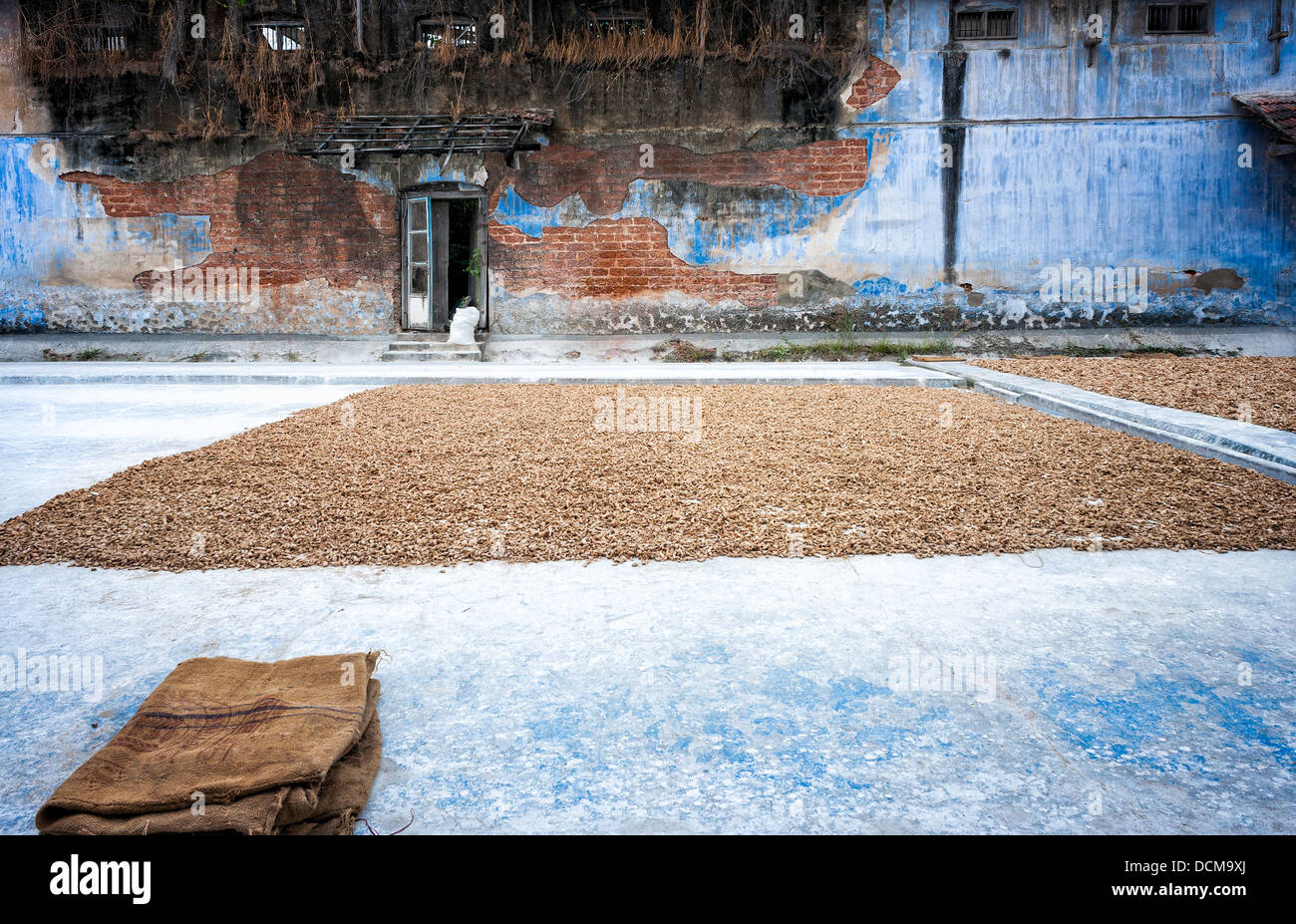 Drying ginger hi-res stock photography and images - Alamy