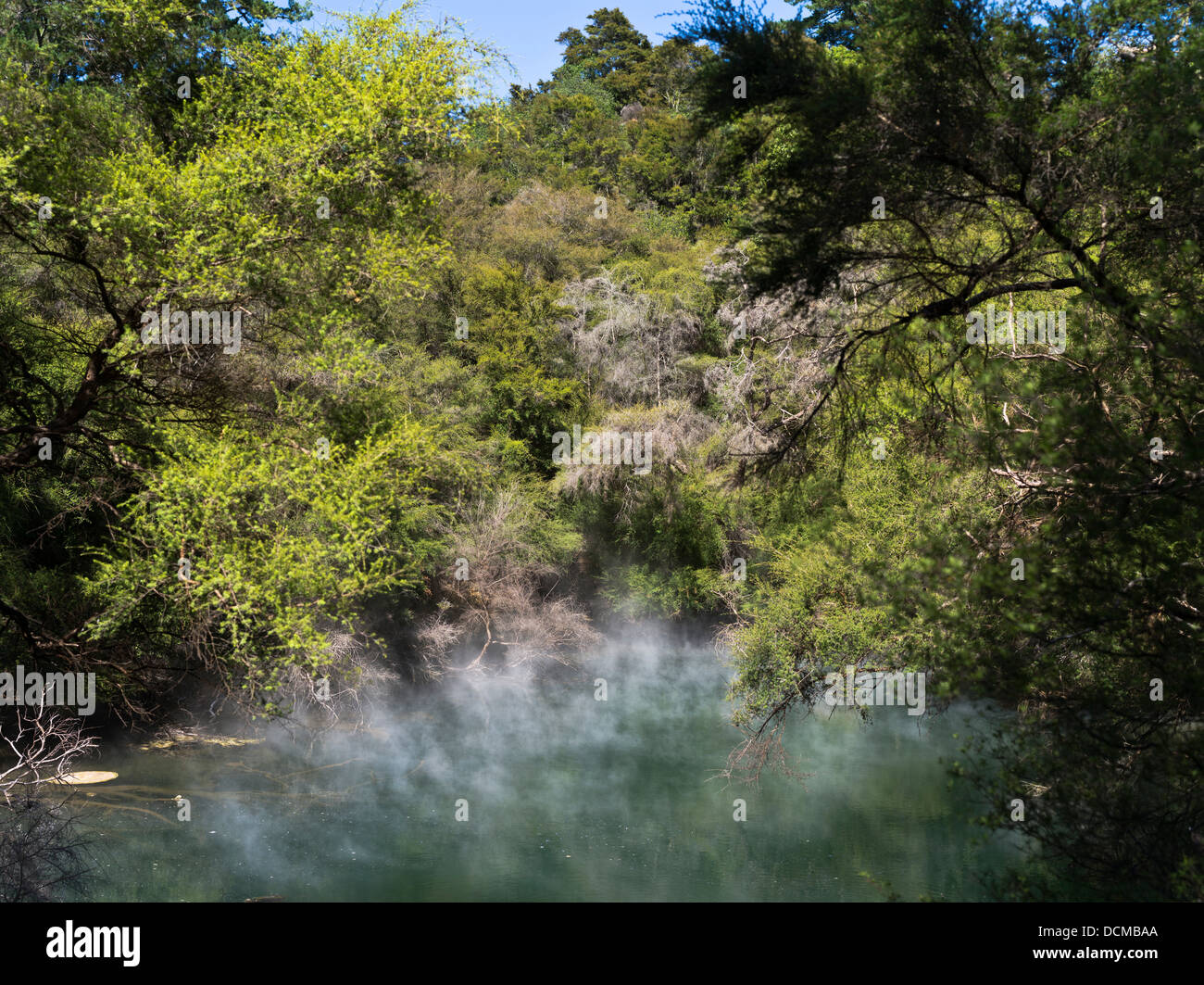 dh Tokaanu thermal walk TOKAANU NEW ZEALAND Recreation Reserve thermal ...