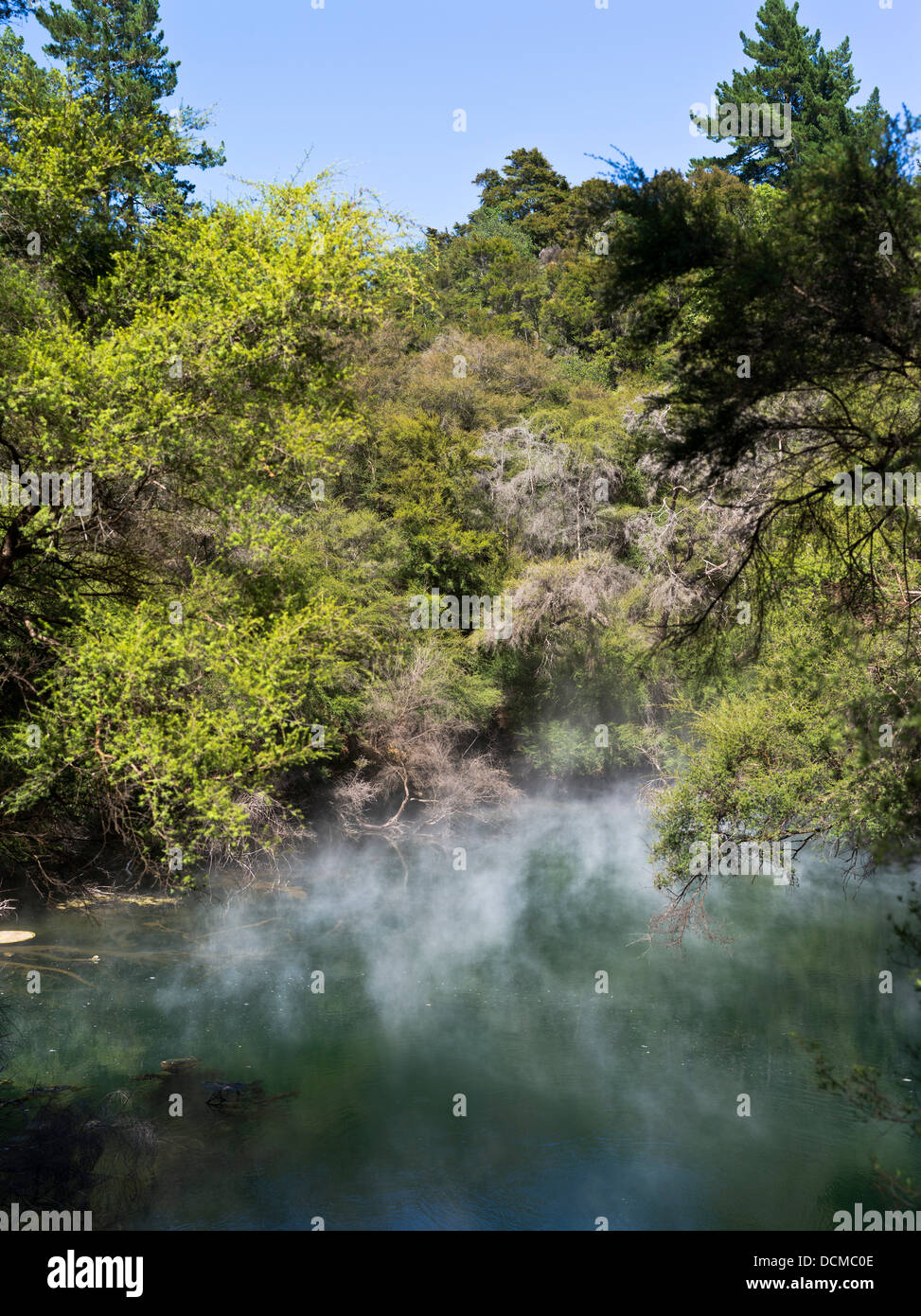 dh Tokaanu thermal walk TOKAANU NEW ZEALAND Recreation Reserve thermal ...