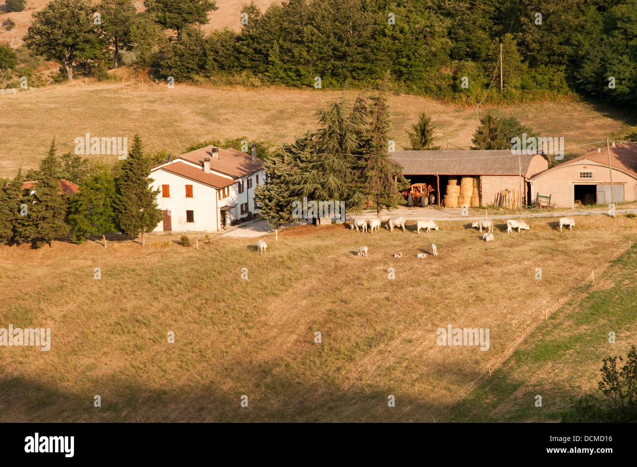 Fattoria hi-res stock photography and images - Alamy
